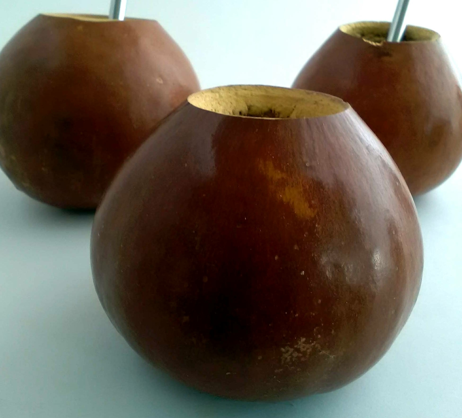 Kalebas Bruin zonder afgewerkte rand – Yerba Mate